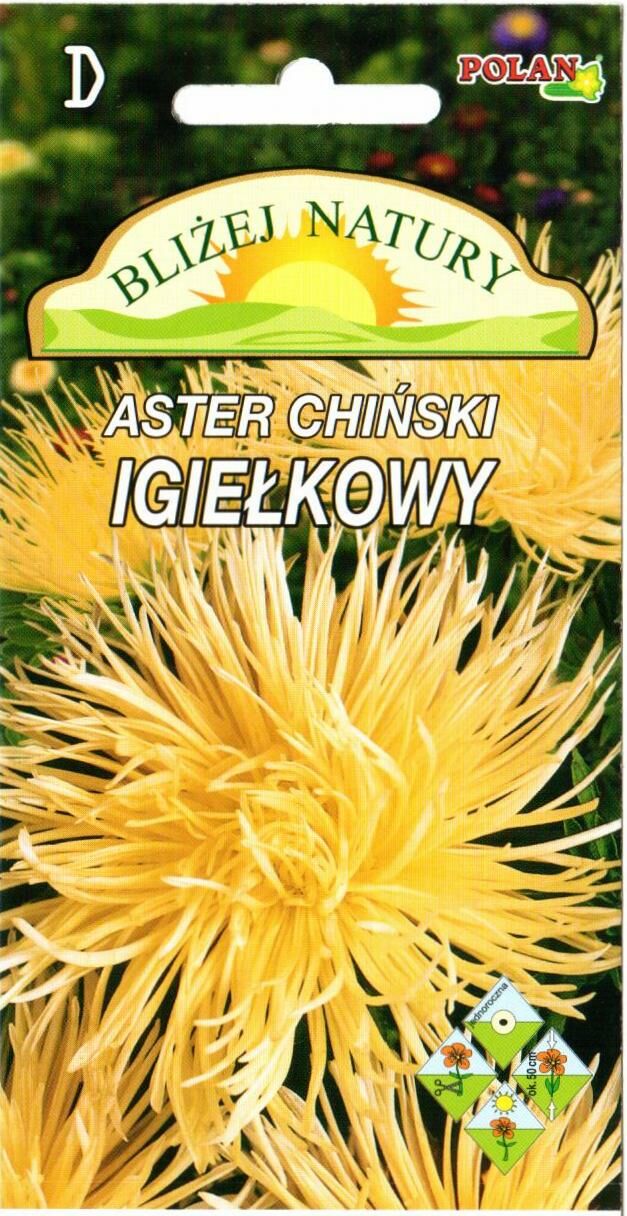 Aster igiełkowy lemon kremowy + polan - Bricomarche.pl