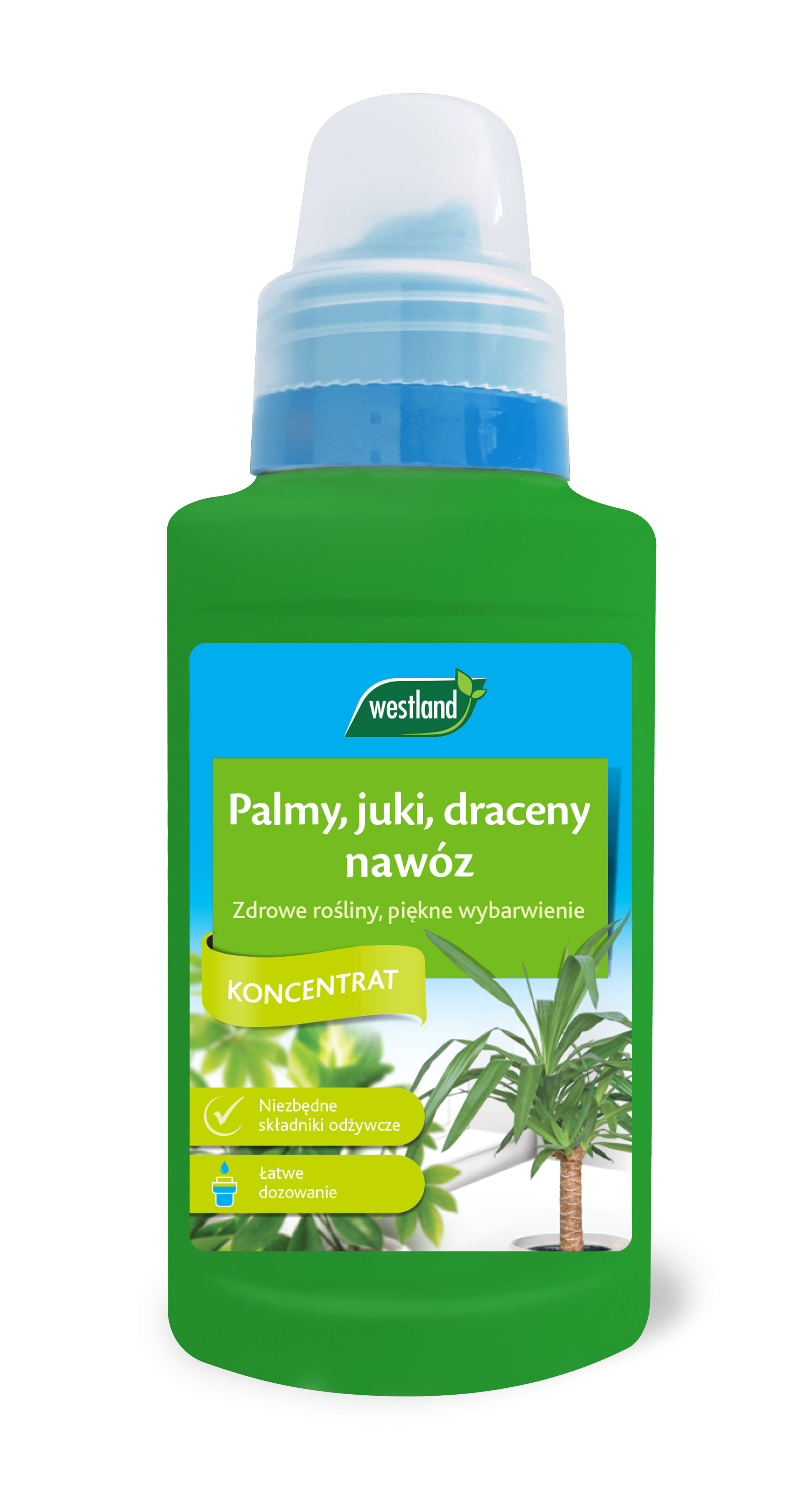 Nawóz płynny do palm, juk i dracen 250 ml Westland - Bricomarche.pl