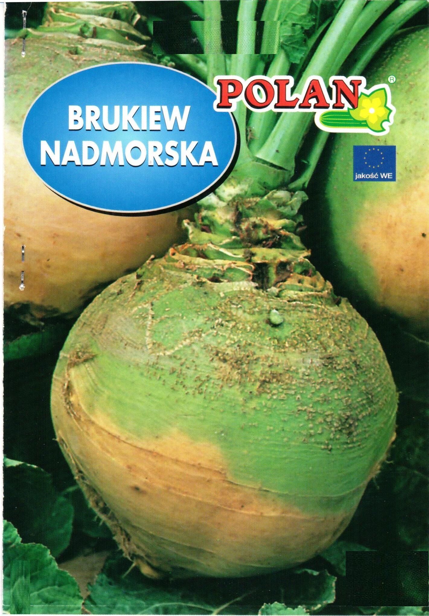 Brukiew jadalna nadmorska 8 g POLAN - Bricomarche.pl
