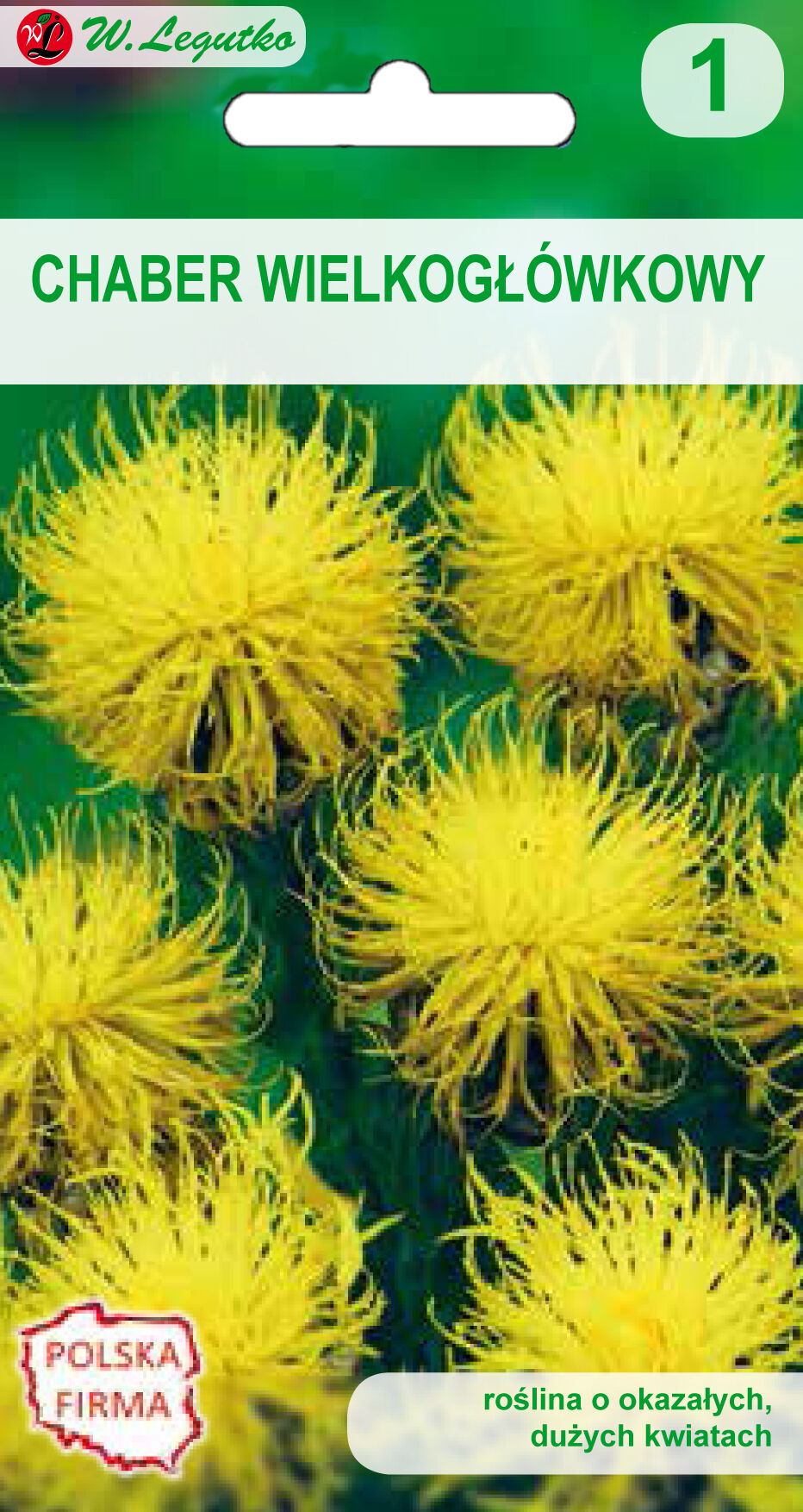 Chaber wielkogłówkowy żółty 80-100 cm W.Legutko - Bricomarche.pl