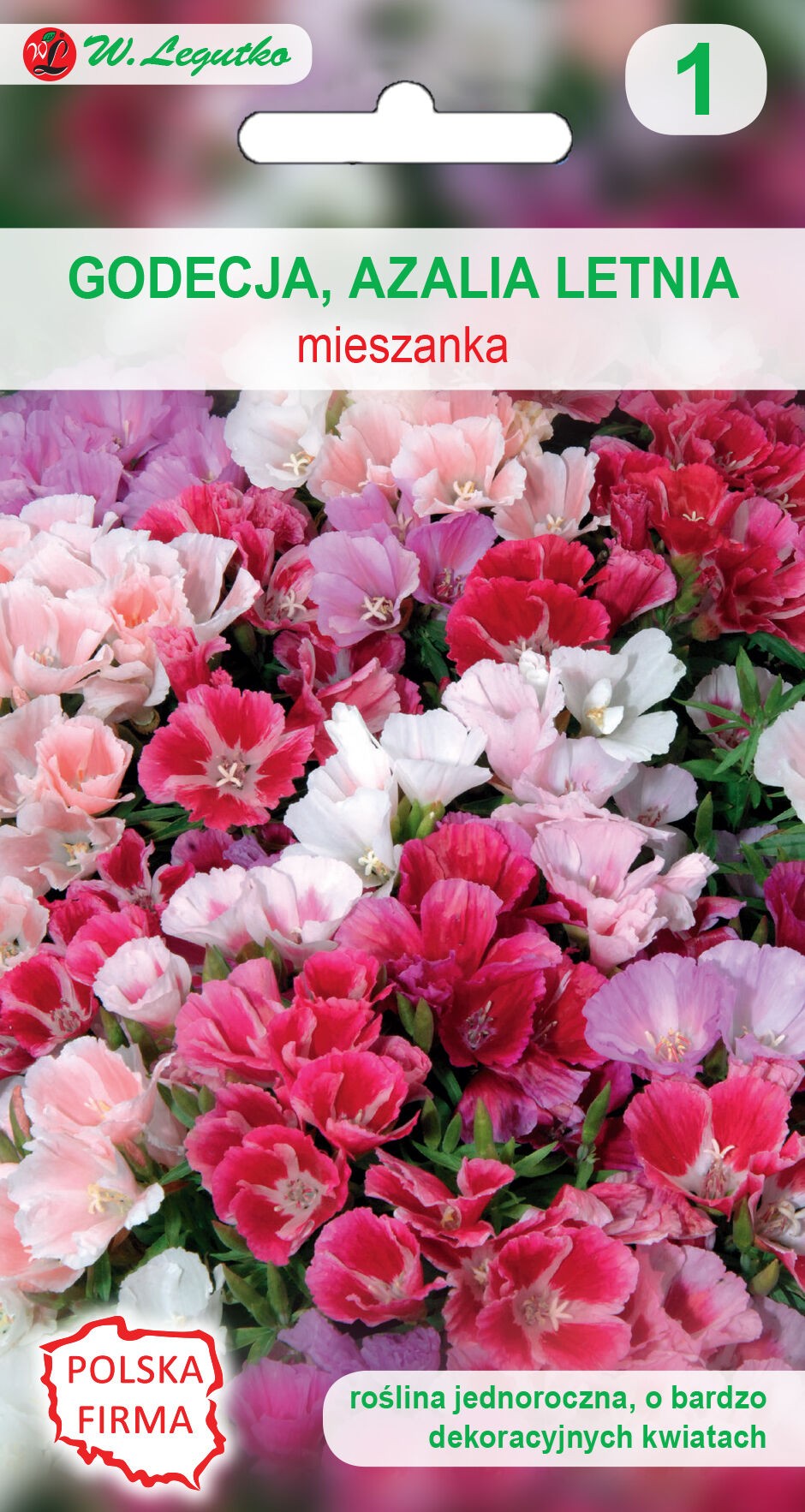 Godecja, Azalia letnia mieszanka 30-40 cm W.Legutko - Bricomarche.pl