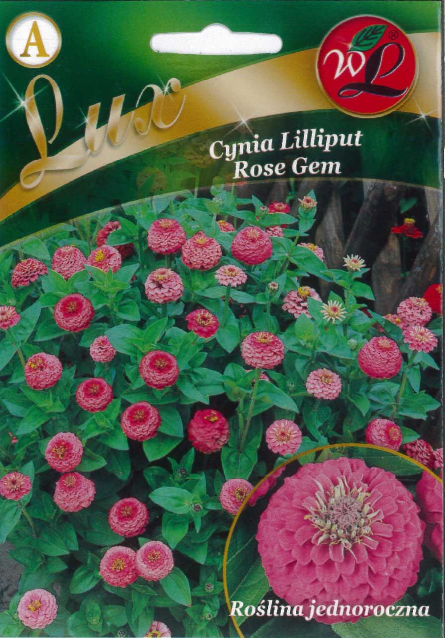 Cynia wytworna Liliput Rose Gem różowa 55 cm W.Legutko - Bricomarche.pl