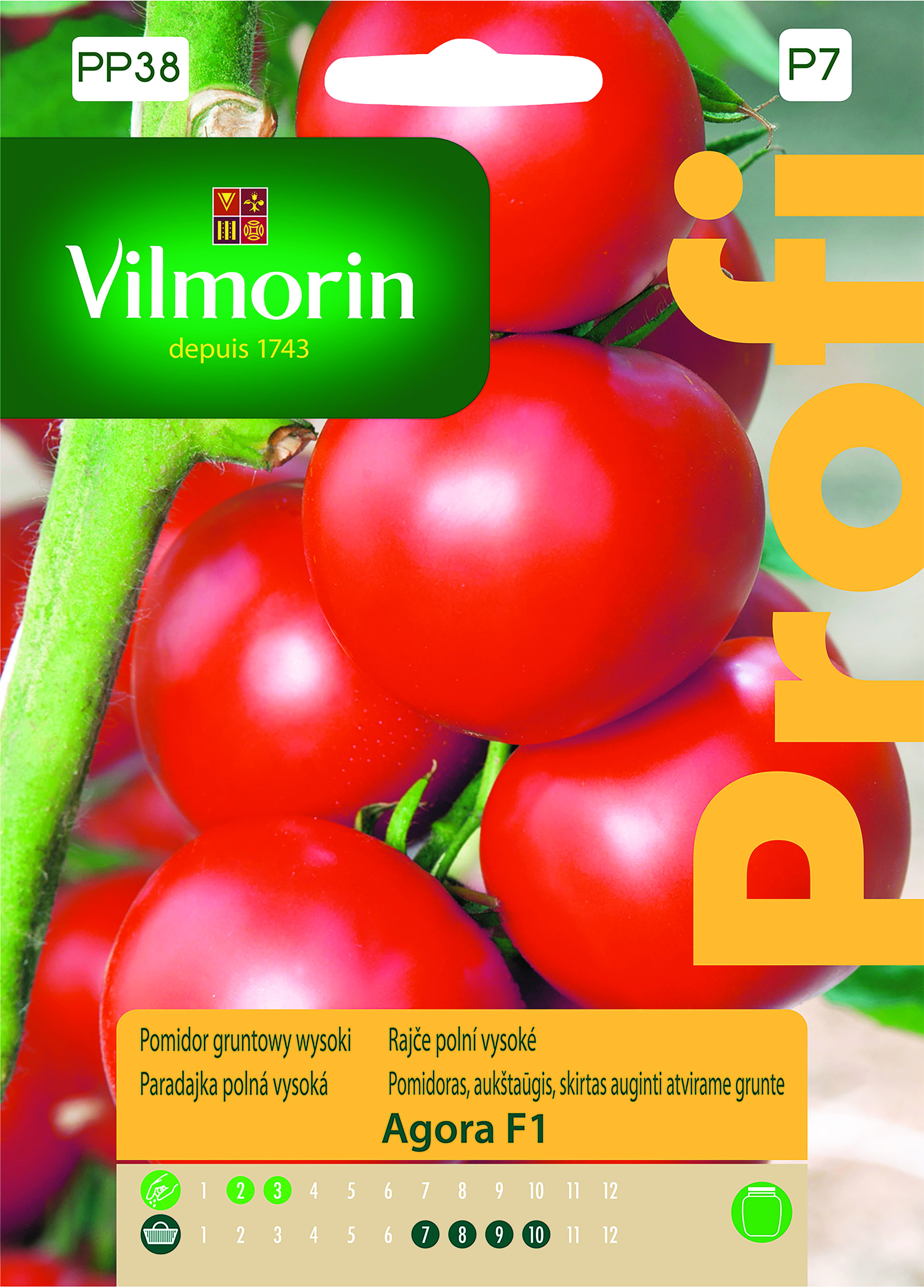 Pomidor gruntowy wysoki czerwony Agora F1 0,2 g Vilmorin Garden - Bricomarche.pl