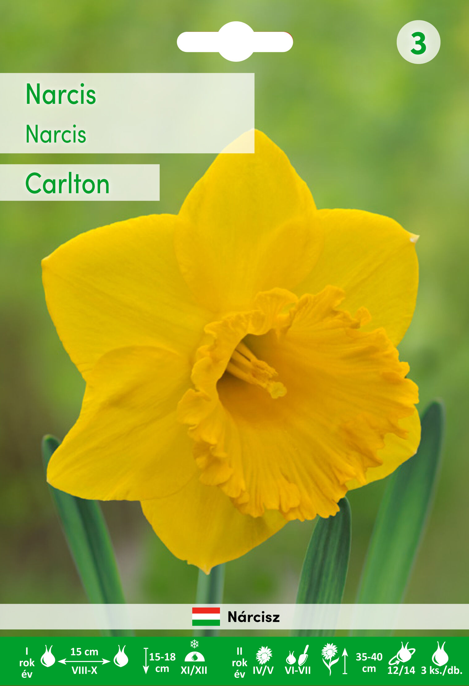 Narcyz Carlton - Bricomarche.pl