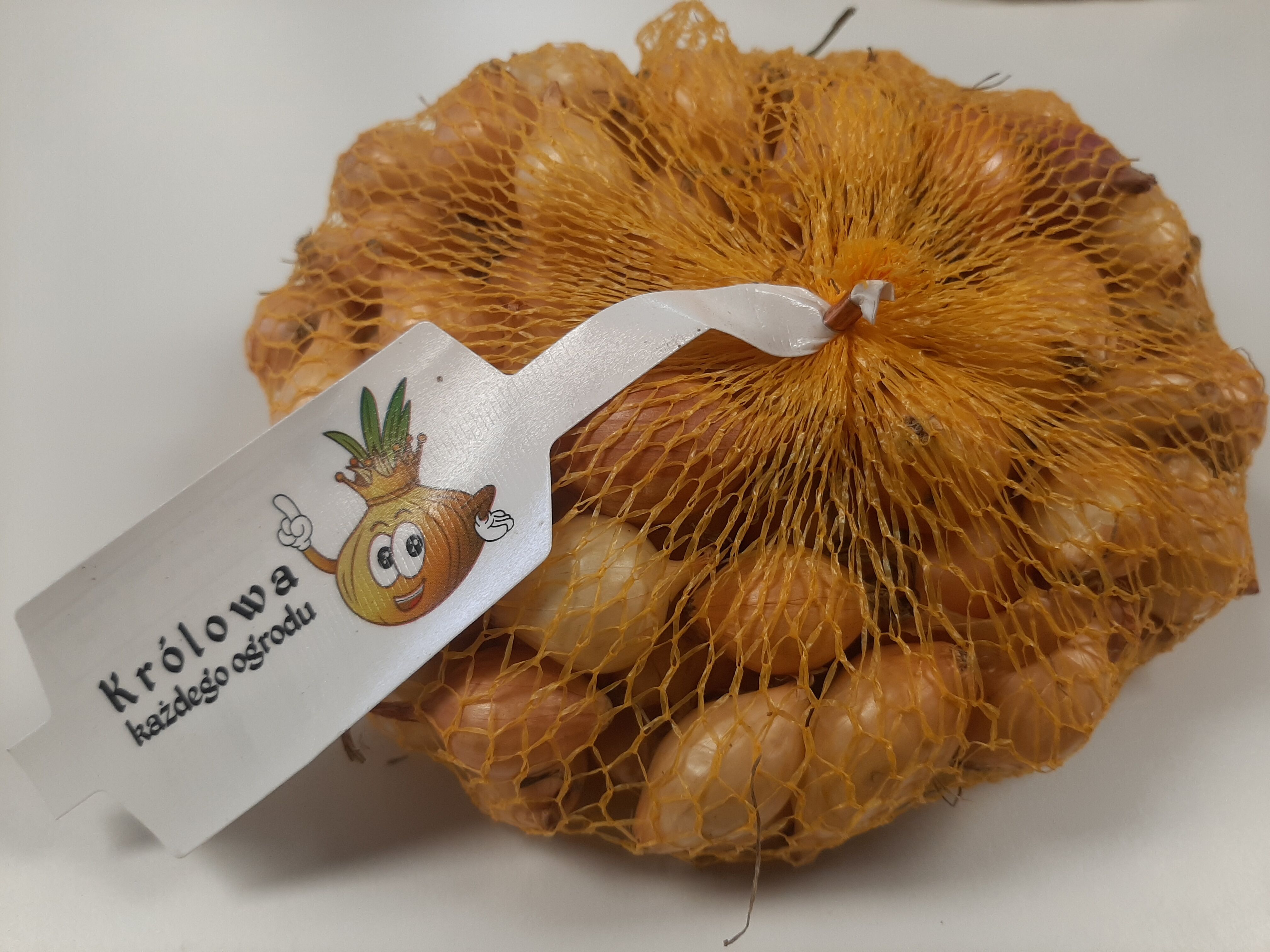 Cebula dymka sturon 250 g - Bricomarche.pl