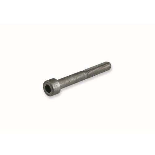 Śruba imbusowa M6 x 60 mm, łeb cylindryczny A2 - Bricomarche.pl