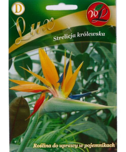 Strelicja królewska Rajski Ptak 150 cm W.Legutko - Bricomarche.pl
