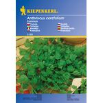 Trybula jednoroczna - Bricomarche.pl