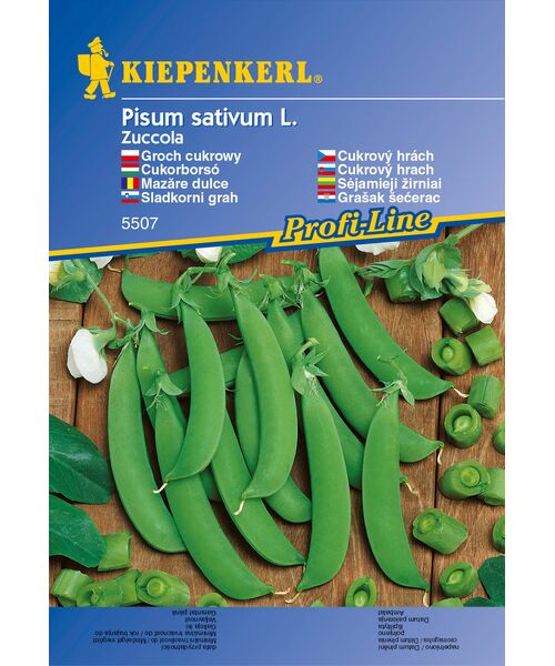 Groch cukrowy Zuccola odporny - Bricomarche.pl