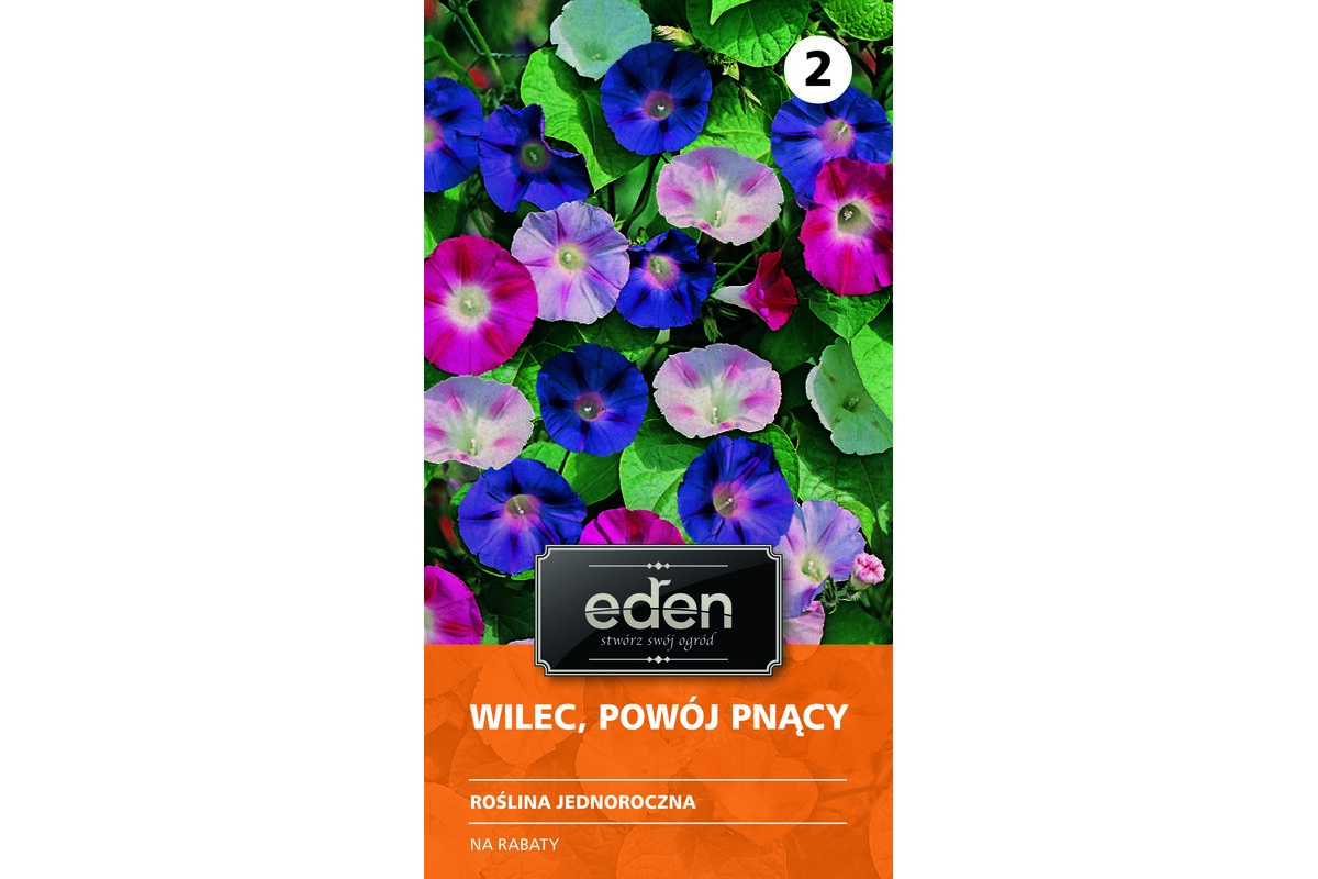 Wilec Powój pnący mix 4 g Eden - Bricomarche.pl