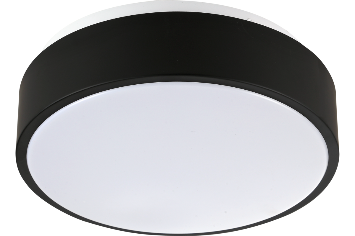 Plafon LED RENE 28 15W 900lm 4000K czarny - Bricomarche.pl