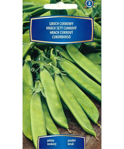 Groch cukrowy 20 g C3 - Bricomarche.pl