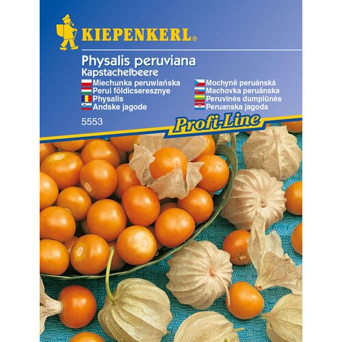 Rodzynek brazylijski - Bricomarche.pl