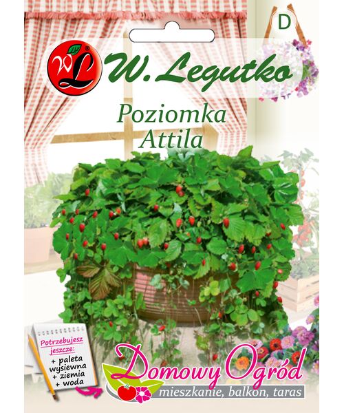 Poziomka Attila III W.Legutko - Bricomarche.pl