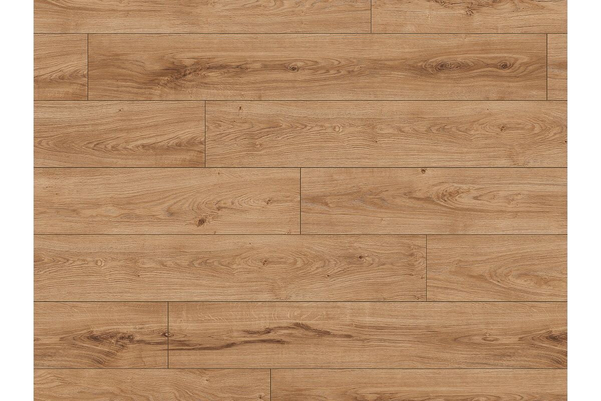 Panel podłogowy Dąb Walt - Bricomarche.pl