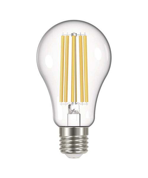 Żarówka LED Filament A67 17W E27 ciepła biel - Bricomarche.pl