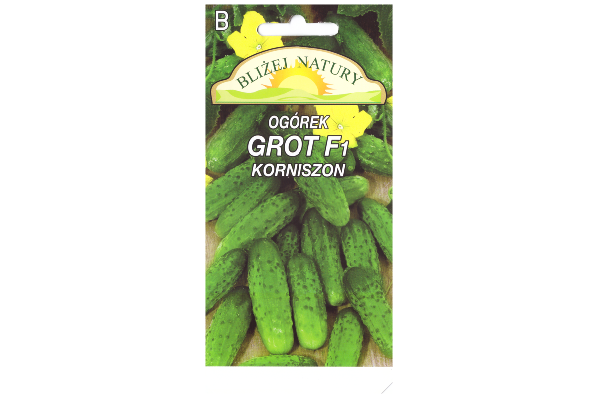 Ogórek korniszon grot mieszaniec 2 POLAN - Bricomarche.pl