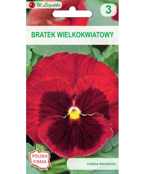 Bratek wielkokwiatowy czerwony z plamą 15-20 cm W.Legutko - Bricomarche.pl