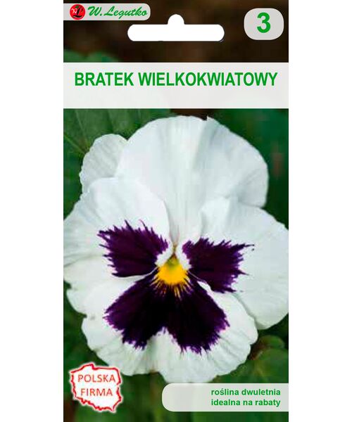 Bratek wielkokwiatowy biały z plamą 15-20 cm W.Legutko - Bricomarche.pl