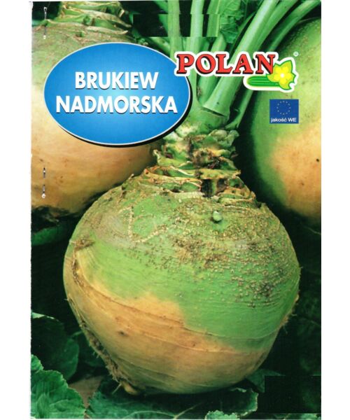 Brukiew jadalna nadmorska 8 g POLAN - Bricomarche.pl
