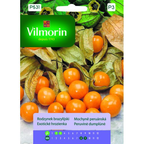 Rodzynek brazylijski 0,1 g Vilmorin Garden - Bricomarche.pl