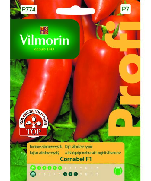 Pomidor szklarniowy Cornabel F1 15 z Vilmorin Garden - Bricomarche.pl