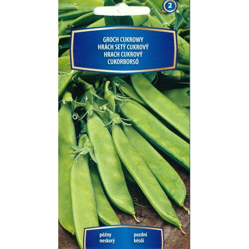 Groch cukrowy 20 g C3 - Bricomarche.pl