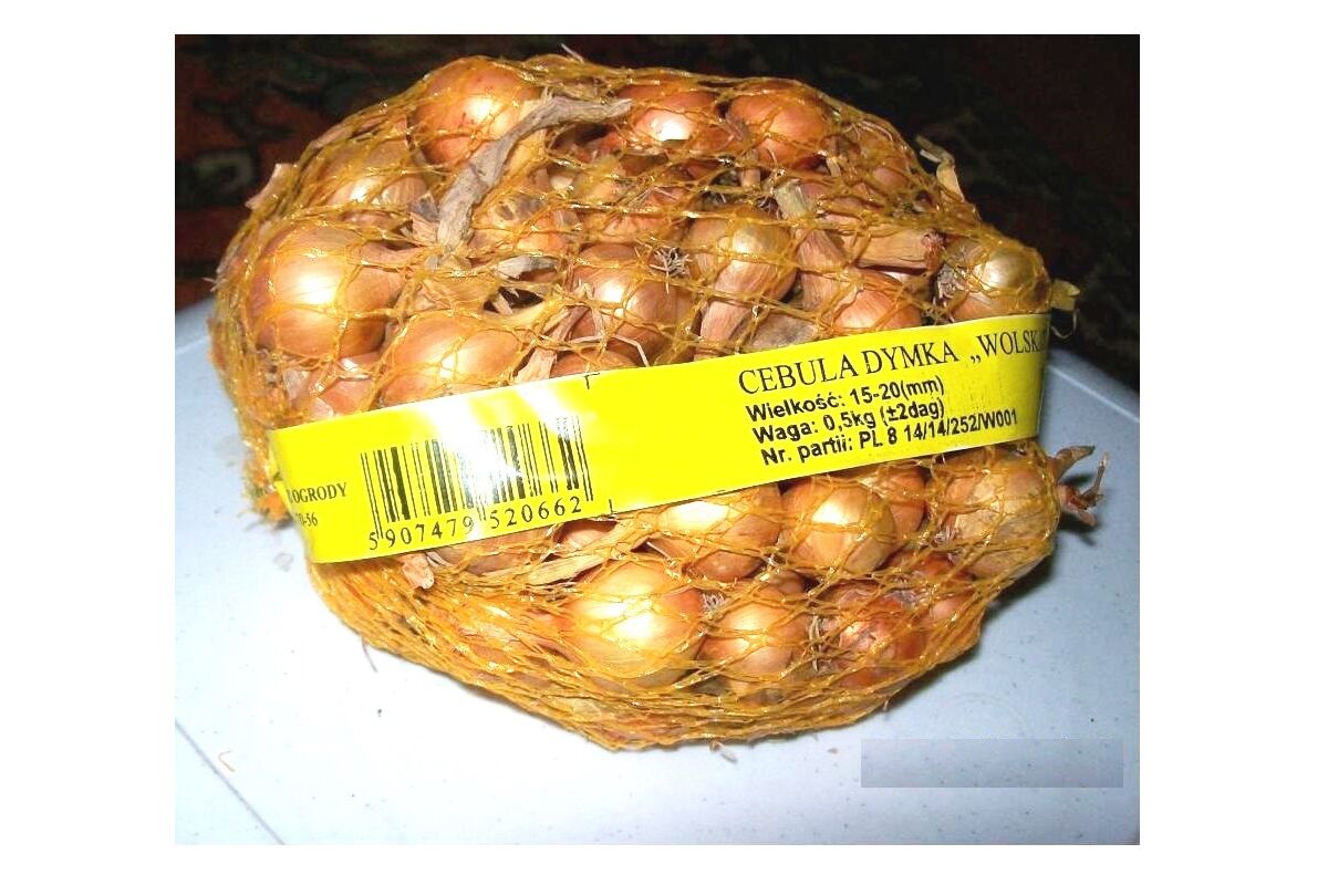 Cebula dymka Wolska żółta III 15 - 20 mm 0,5 kg - Bricomarche.pl